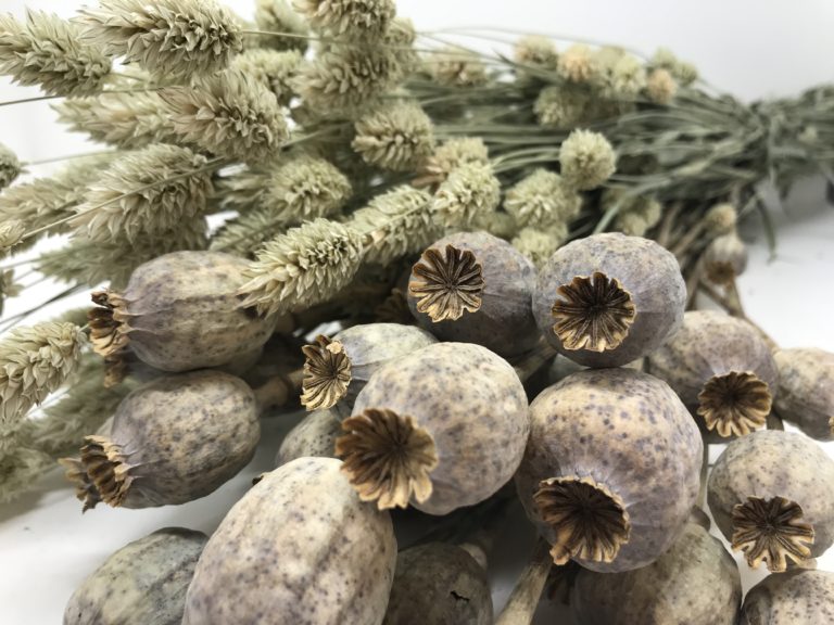 Dried Botanicals | Flourish Trading